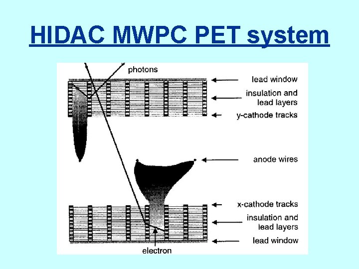 Applications in Nuclear Medicine and Radiology Professor Bob