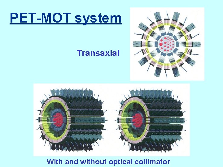 Applications in Nuclear Medicine and Radiology Professor Bob