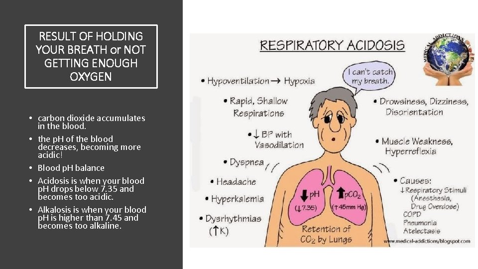 LUNG LAB BY SCIENTIST CINDY Breathing Air flow