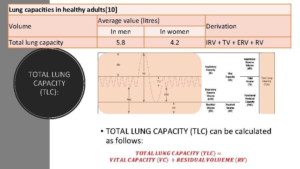 LUNG LAB BY SCIENTIST CINDY Breathing Air flow