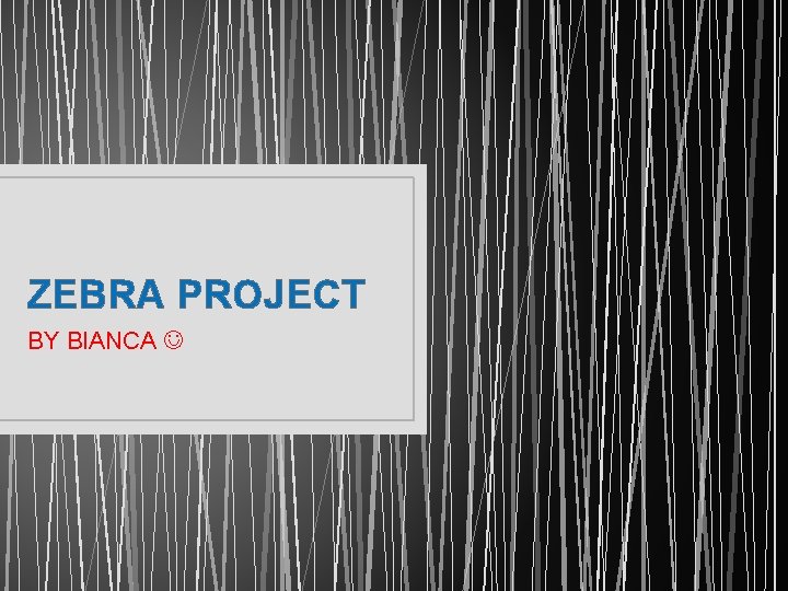 ZEBRA PROJECT BY BIANCA FACTS OF LIFE Zebras