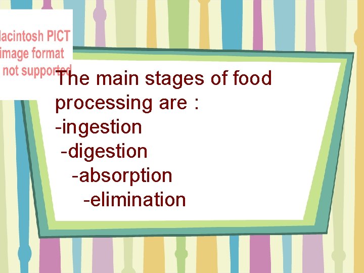 Digestive system Overview The Need to Feed Every