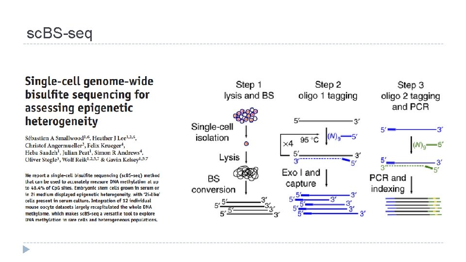Joint profiling of chromatin accessibility DNA methylation and