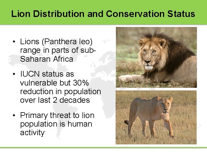 WALLACE RESOURCE LIBRARY Lecture 08 Predators of South