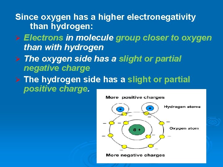 Water as a Polar Molecule TAKS Objective 4