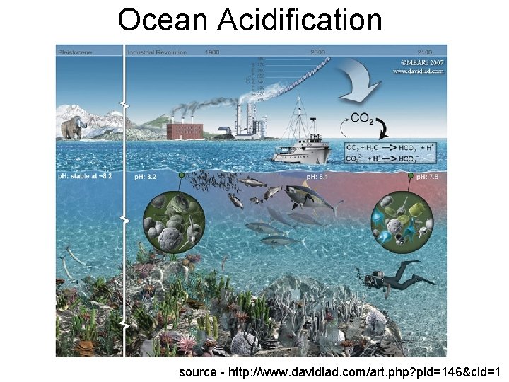 Ocean Acidification source http www davidiad comart php