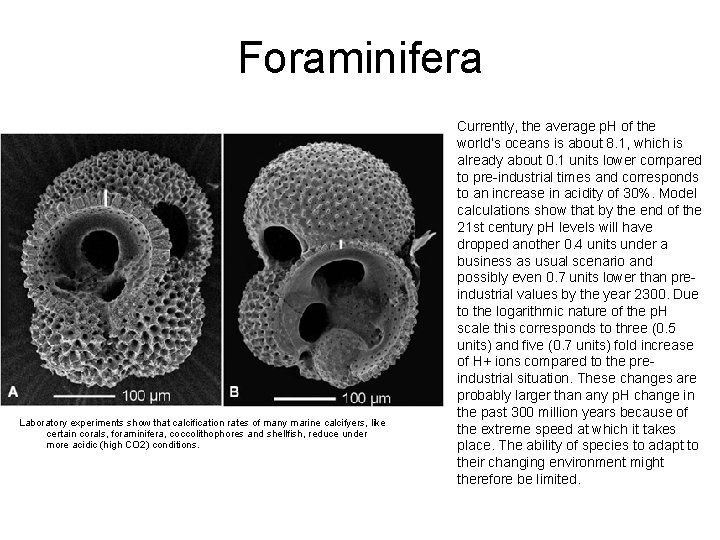 Ocean Acidification source http www davidiad comart php