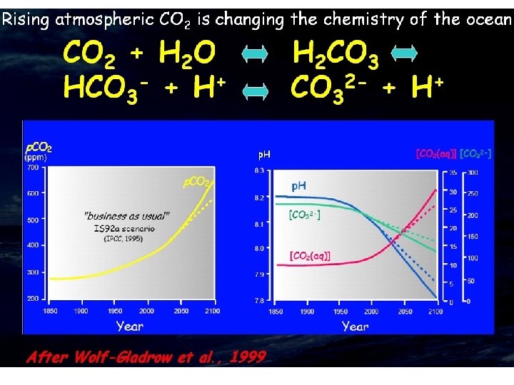 Ocean Acidification source http www davidiad comart php