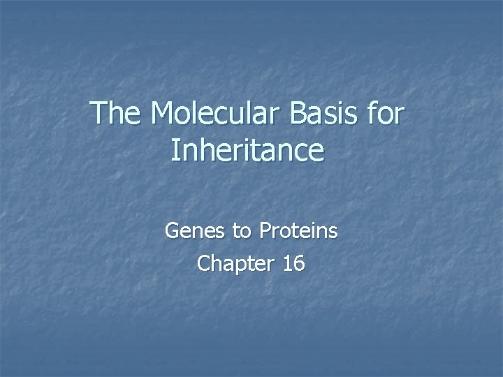 The Molecular Basis for Inheritance Genes to Proteins