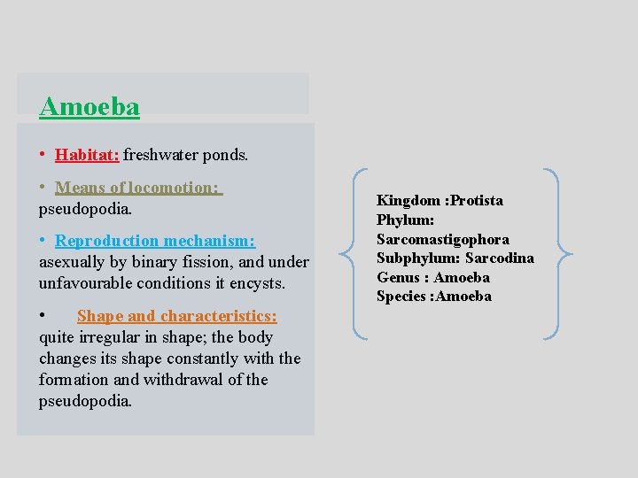 PARASITOLOGY Prepared by Reem Aldossari General characteristics v