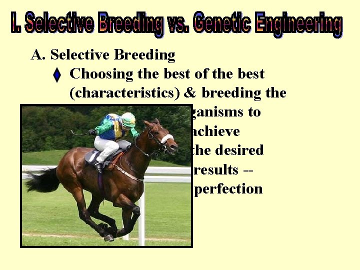 A Selective Breeding Choosing the best of the