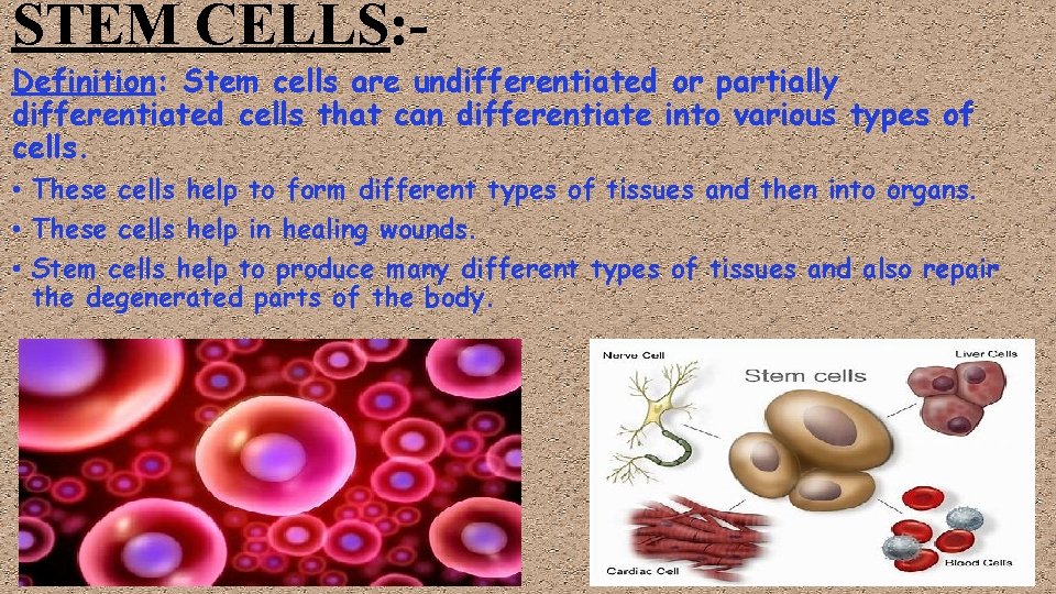 CHAPTER 8 CELL BIOLOGY AND BIOTECHNOLOGY LECTURE 01