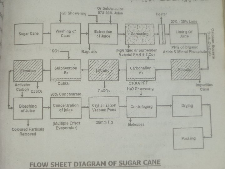 SUGAR INDUSTRY RAW MATERIAL Sugar cane White beet