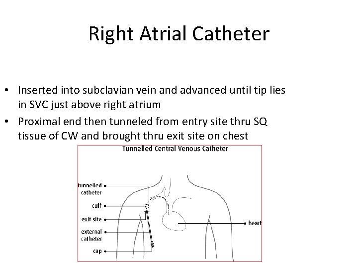 Caring for the Cancer Patient Part Deux Problems