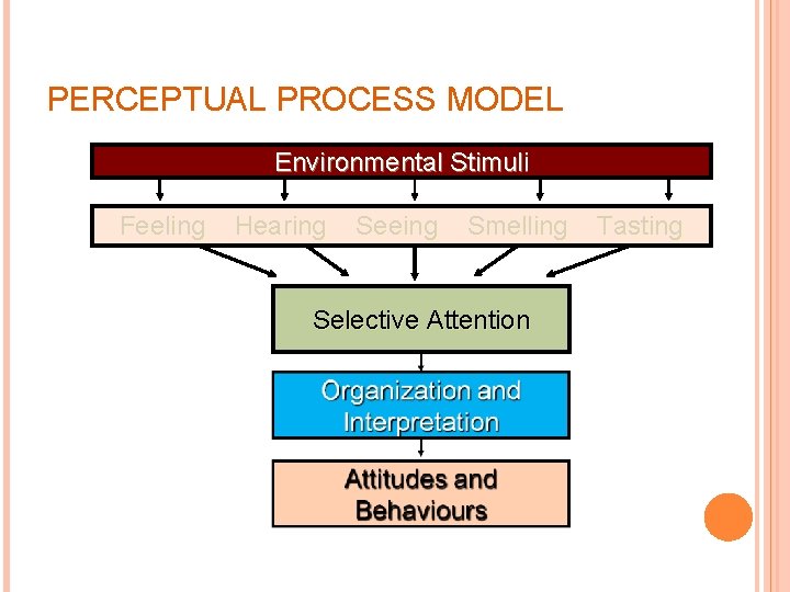 PERCEPTION FOUNDATIONS OF INDIVIDUAL BEHAVIOUR WE DONT SEE