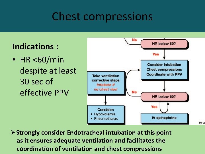 NRP Neonatal Resuscitation program Bill keenan Father of