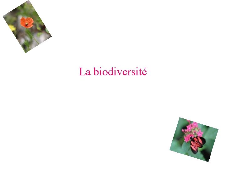 La biodiversit Questce que la biodiversit En 1986