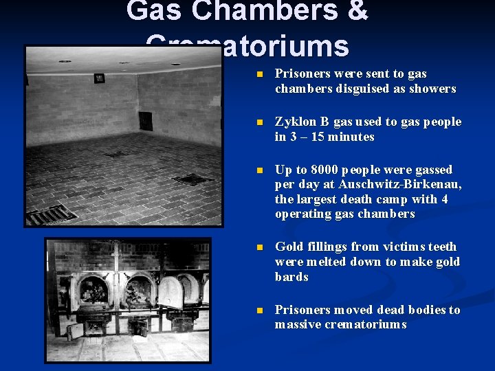 What do we know about the Holocaust n