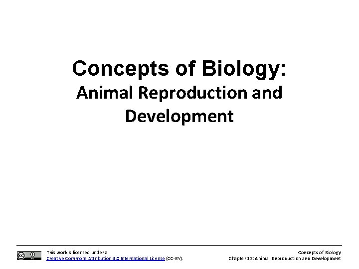 Concepts of Biology Animal Reproduction and Development This