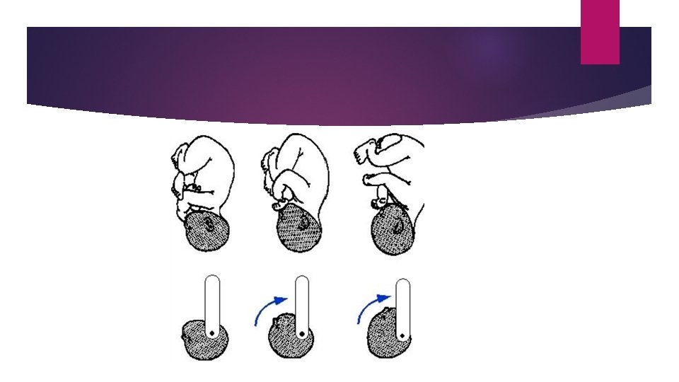Presentation du sommet Dr Baali INTRODUCTION La prsentation