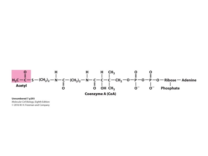 Chapter 7 Biomembrane Structure Chapter 7 Biomembrane Structure