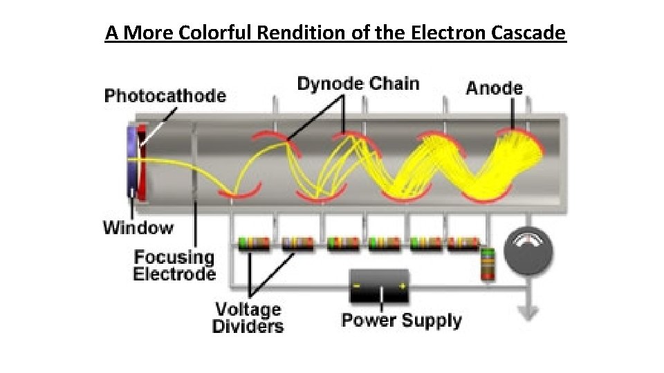 Photomultiplier PMT Tubes Electron Cascade Photon Photocathode Dynodes