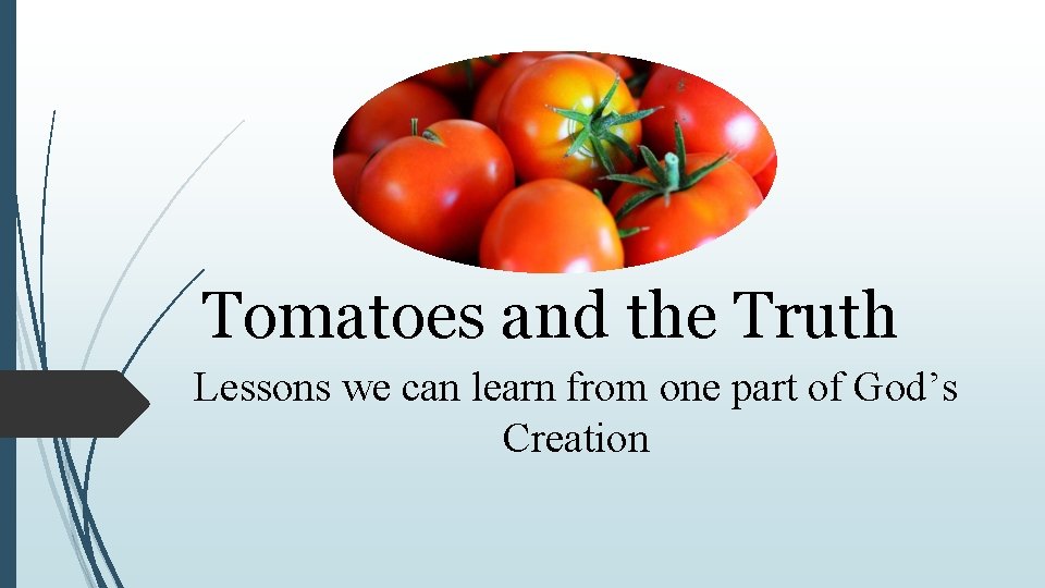 Tomatoes and the Truth Lessons we can learn