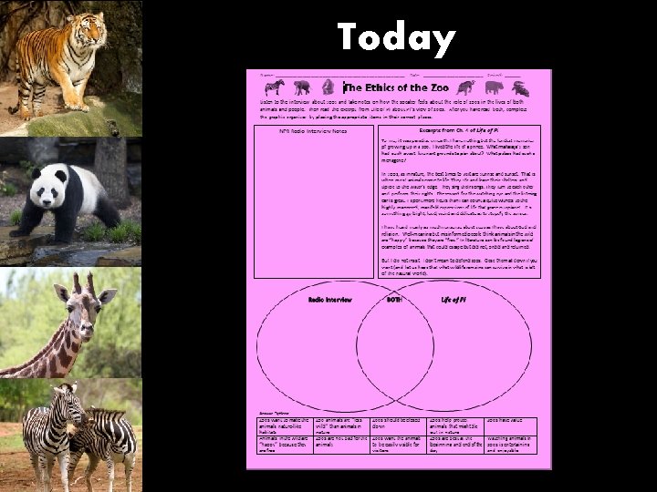 The Ethics of Zoos FSA Practice Listening Activity