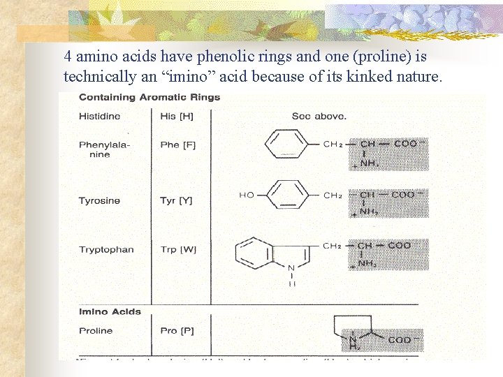 Basics What are cells made from and how