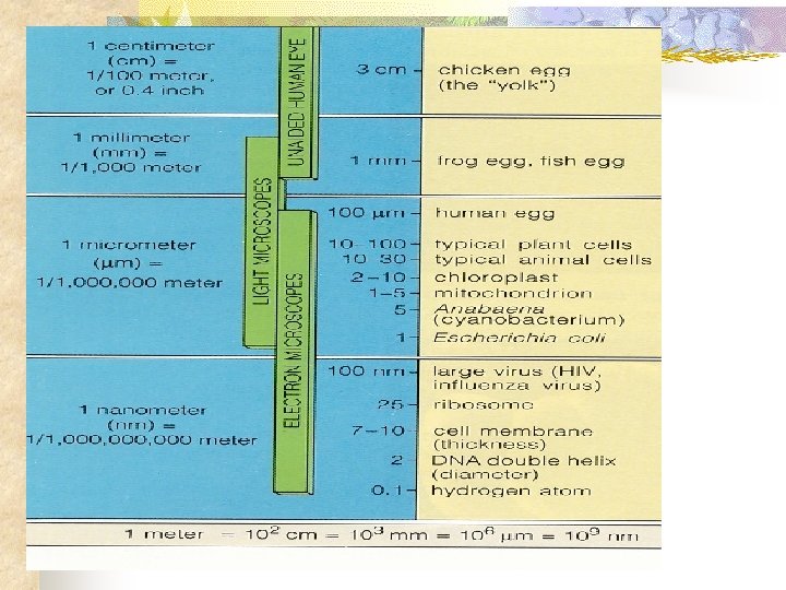 Basics What are cells made from and how