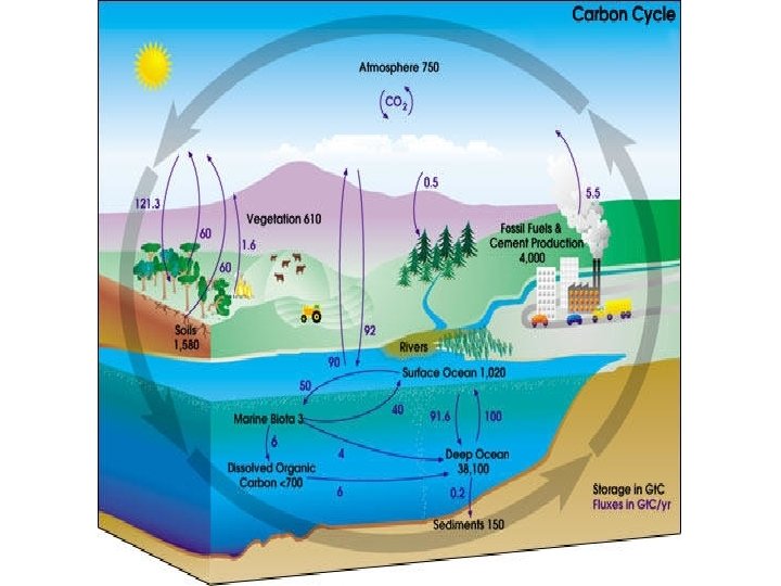 The Biogeochemical Cycles Fig 4 5 Periodic table