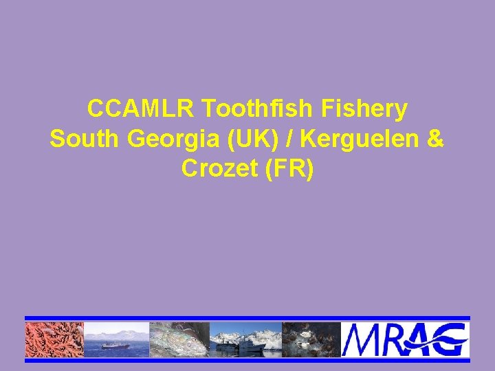 CCAMLR Toothfish Fishery South Georgia UK Kerguelen Crozet