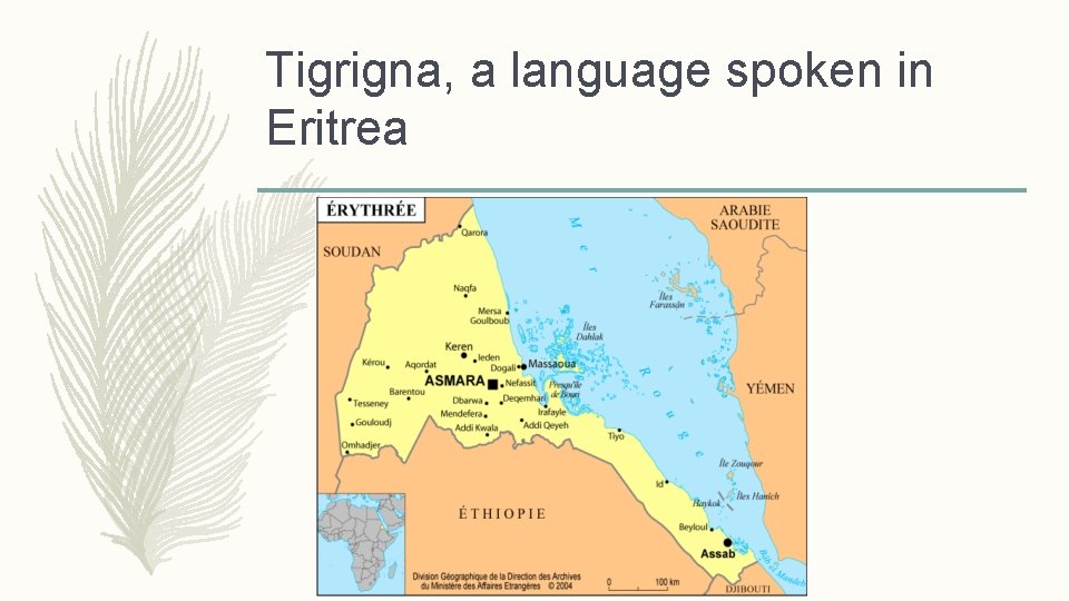 Tigrigna Whwords Hosted by Focus Macolin November 28