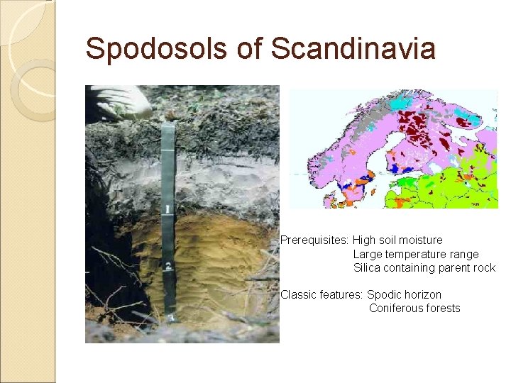 SOILS OF EUROPE AND SIBERIA Taylor Mills Mario