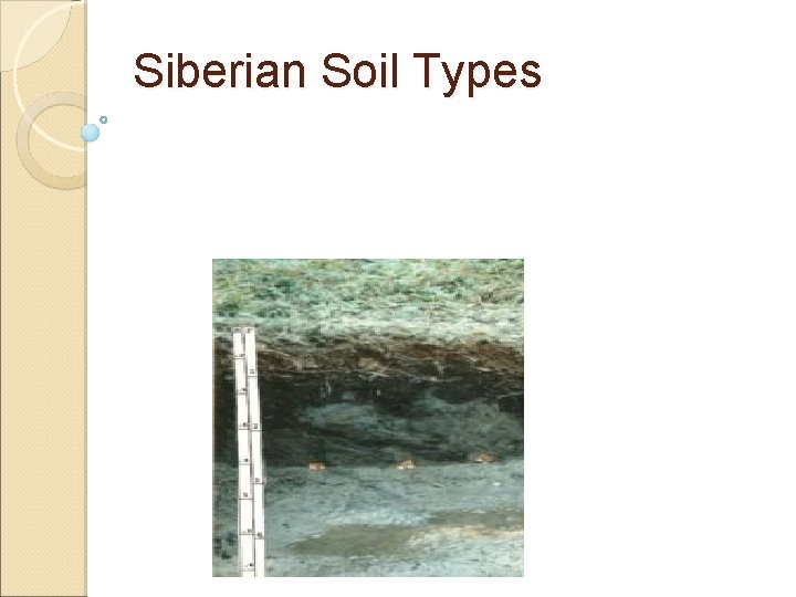 SOILS OF EUROPE AND SIBERIA Taylor Mills Mario