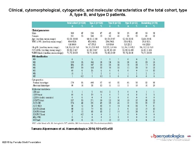 Molecular subtypes of NPM 1 mutations have different