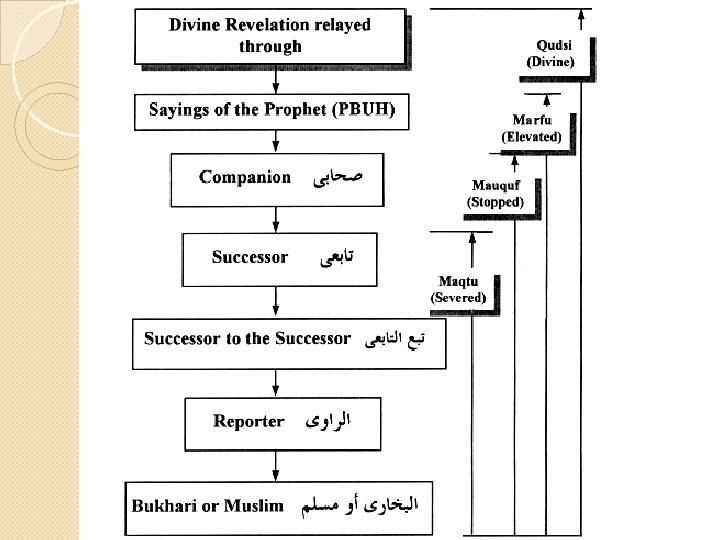 12 Introduction to Sunnah Kinds of Hadith Course