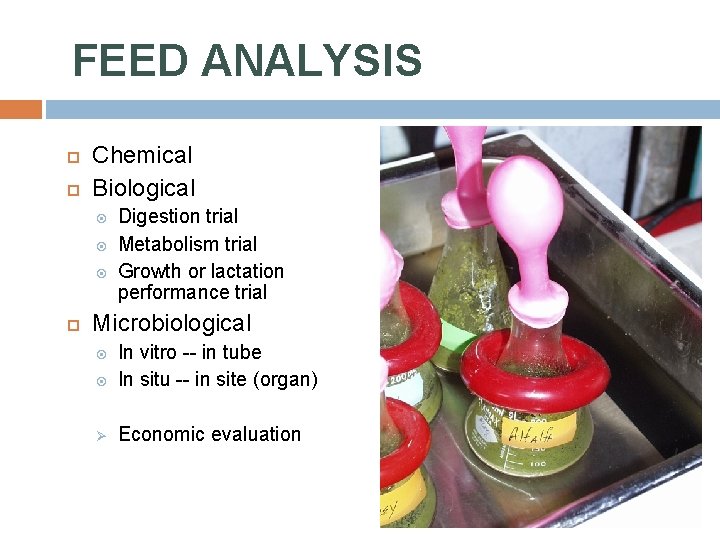 FEED ANALYSIS Chemical Biological Digestion trial Metabolism trial