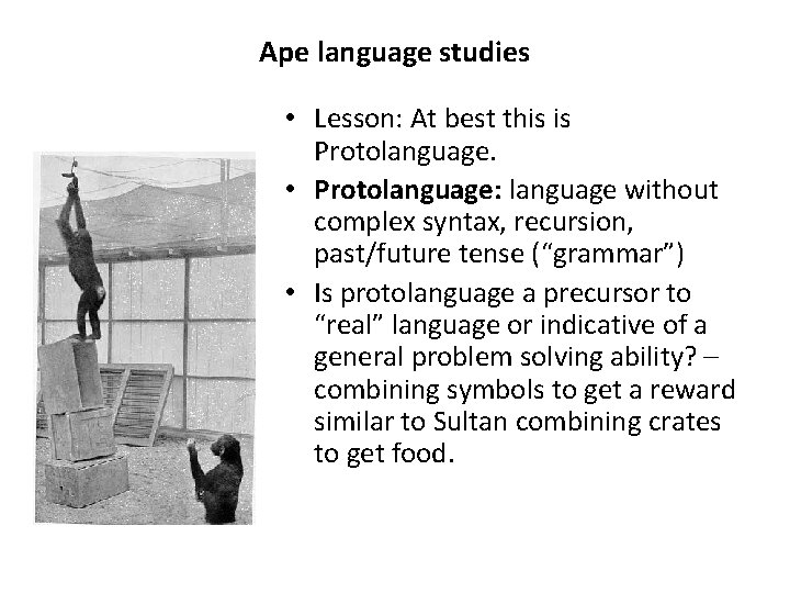 Chapter 14 Corballis M C The evolution of