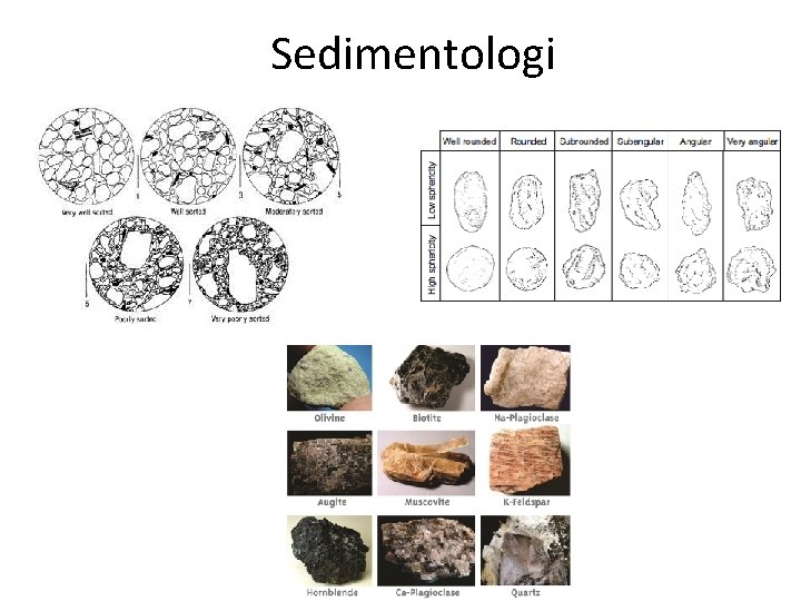 Der er 4 forskellige typer af SEDIMENTRE BJERGARTER