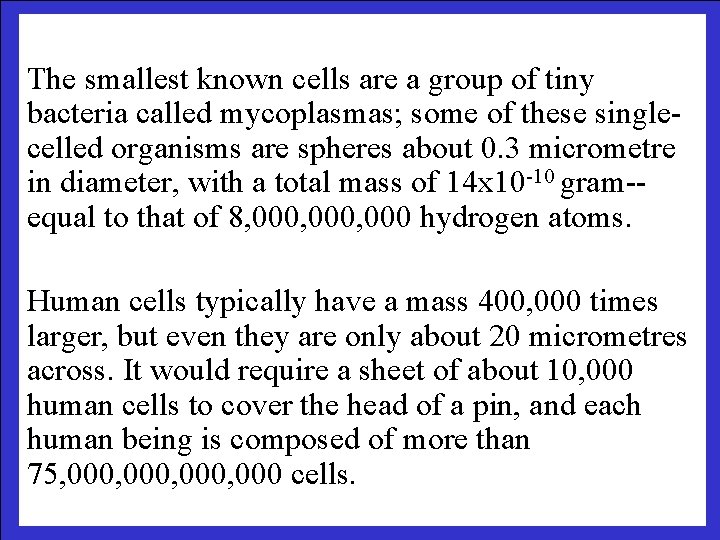 Cell Molecular Biology Genetics The Cell by Alberts