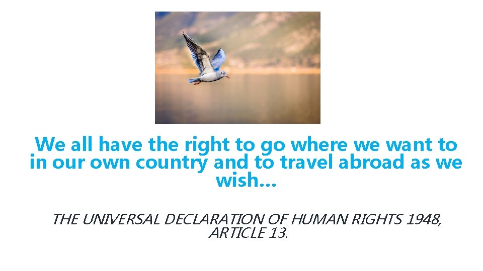 Human rights are the basic rights and freedoms