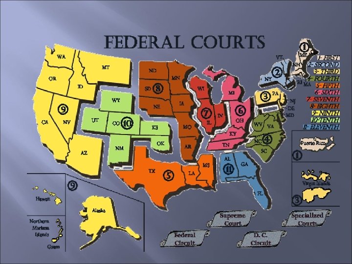 THE UNITED STATES COURT SYSTEM Federal and State