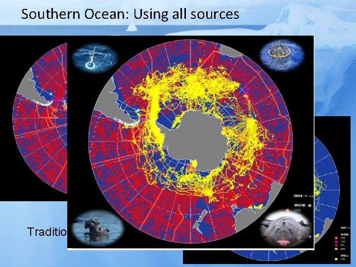 Animal Telemetry a Key Part of Ocean Observing