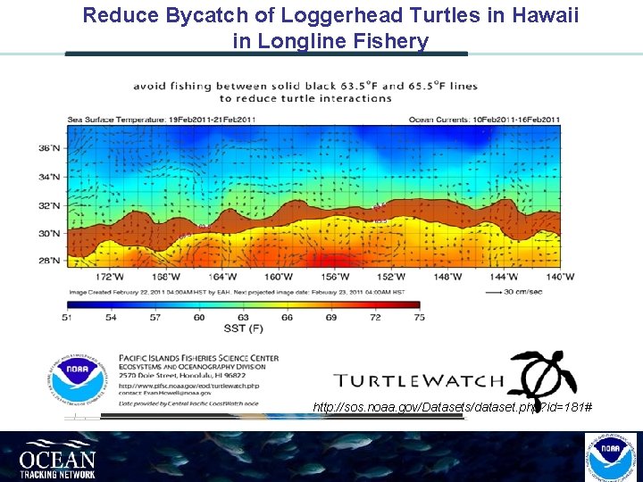 Animal Telemetry a Key Part of Ocean Observing