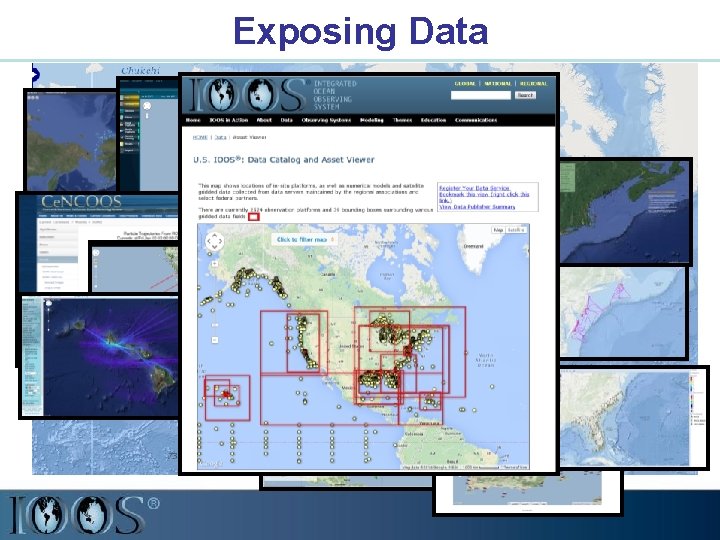 Animal Telemetry a Key Part of Ocean Observing
