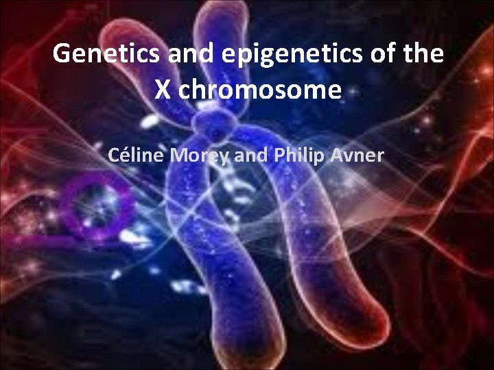 Genetics and epigenetics of the X chromosome Cline