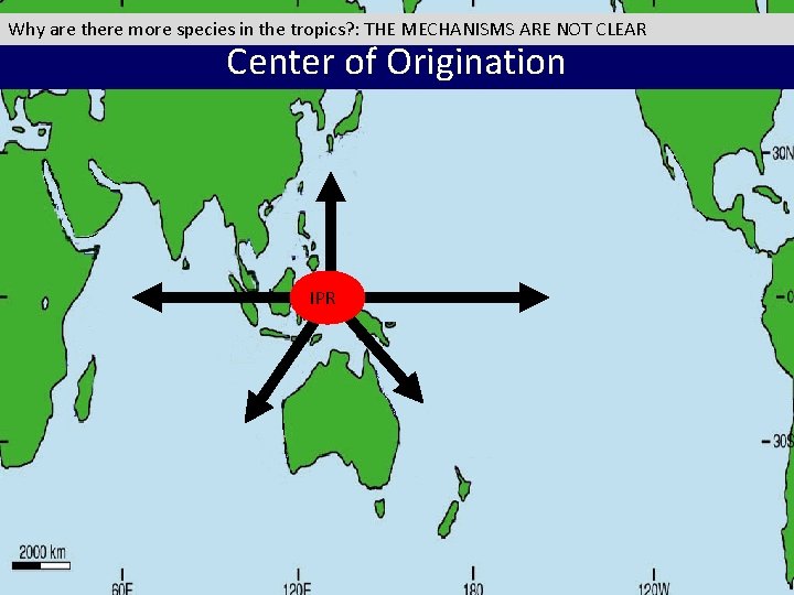 Species richness Processes Where is biodiversity THE PATTERNS