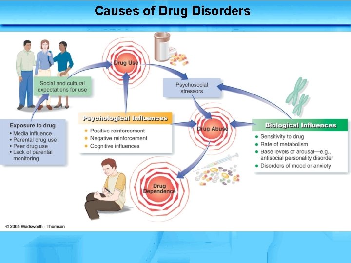 Substance Use Disorders Chapter 11 What is a