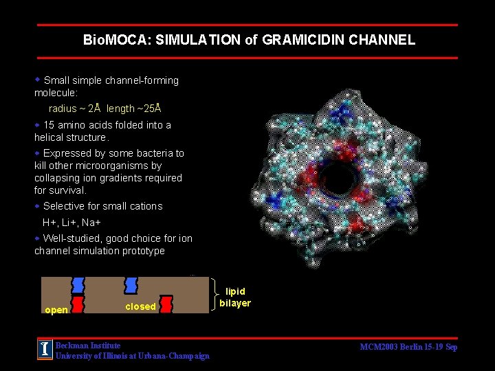 Bio MOCA A Transport MonteCarlo Model for Ionic